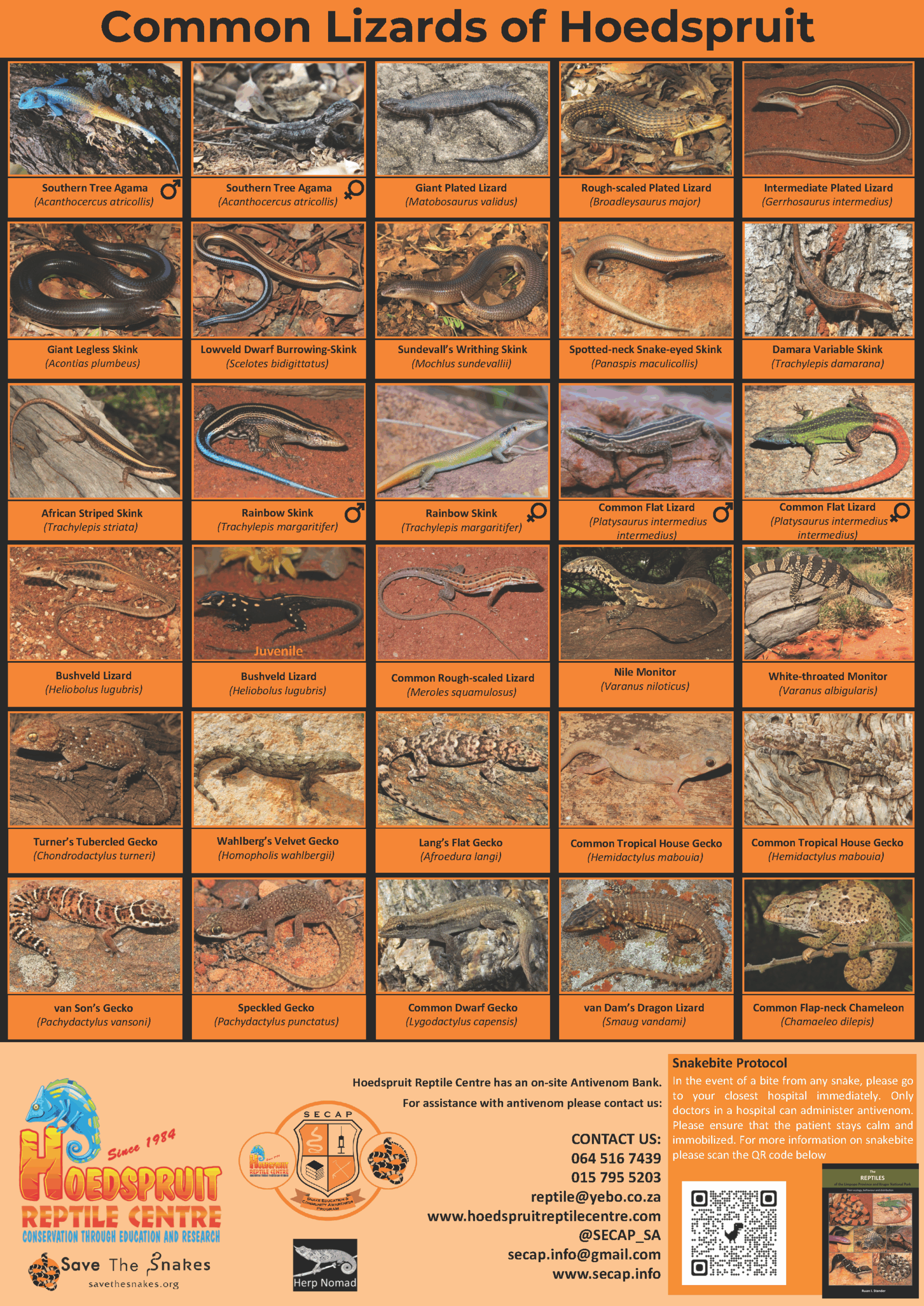 Snake Game - Hoedspruit Reptile Centre